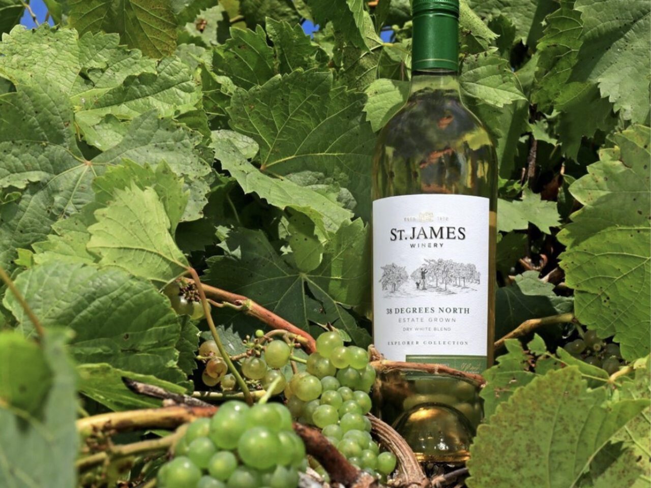 St. James Winery - Meramec River Wine Trail
